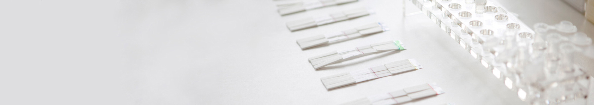 Home - Securetec Detektions-Systeme AG