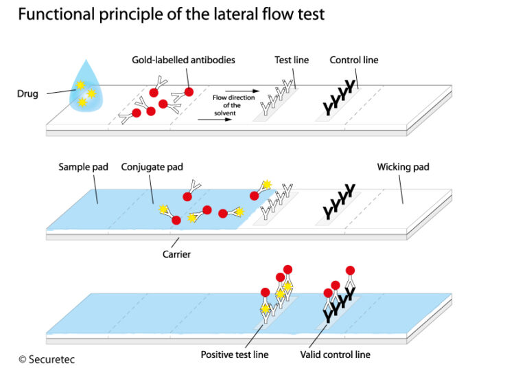 Rapid drug tests – how do they work? - Securetec Detektions-Systeme AG
